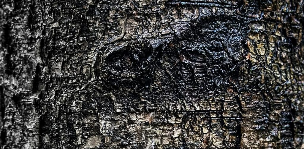 matryoshka tree – Tangled Locks Journal